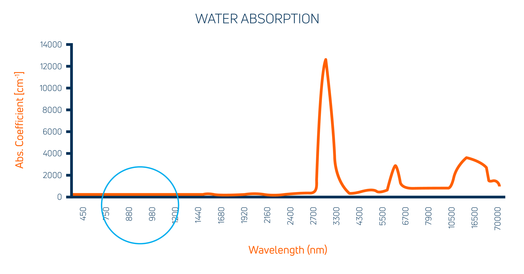 Photobiomodulation | How Does Laser Therapy Work? | LightForce