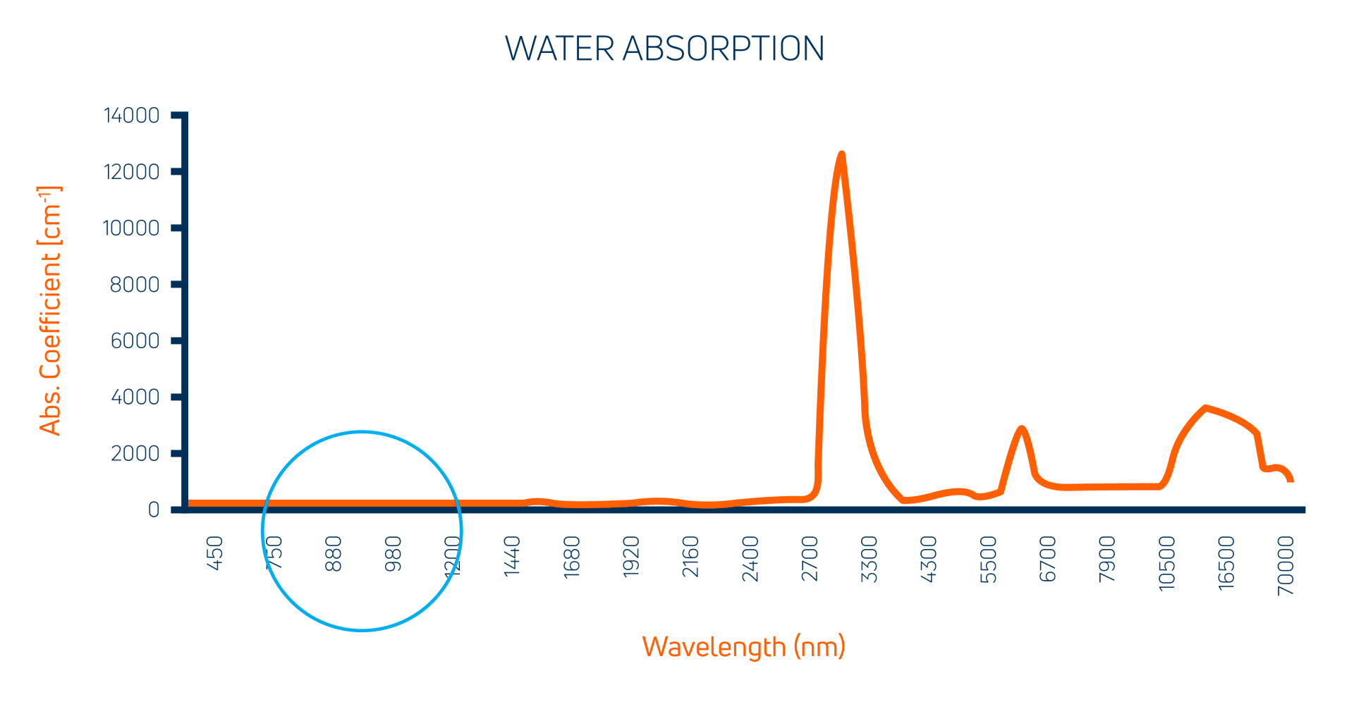 Photobiomodulation | How Does Laser Therapy Work? | LightForce